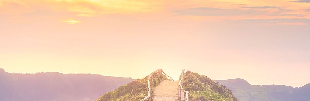 spiral dynamics and covid-19